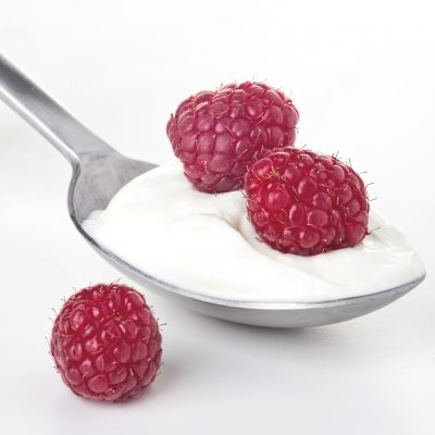Custard-Style Yogurt Recipe – Brod & Taylor Australia